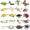 20 PCS Life Cycle Figurines of Butterfly Spider Bee Ladybug Dragonfly ...