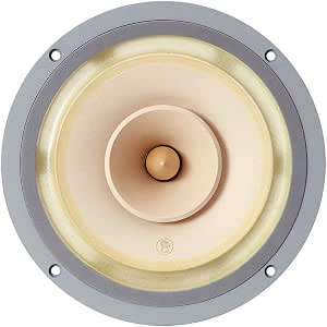 Amazon.com: Lii Audio 8 Inch Full Range Drivers for Audiophile HiFi ...