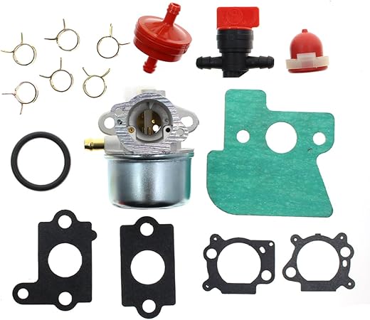 Amazon.com : Carbhub 694202 Carburetor for Briggs & Stratton 790120 ...