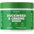 Amazon.com: VINATURA Duckweed & Greens Powder - Smoothie Mix with Super ...