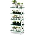 Amazon.com : RooTrimmer Tabletop 5-Tier Seed Stand with 5 Trays, Seed ...