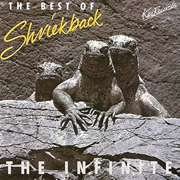 The Best Of Shriekback: The Infinite: Amazon.de: Musik