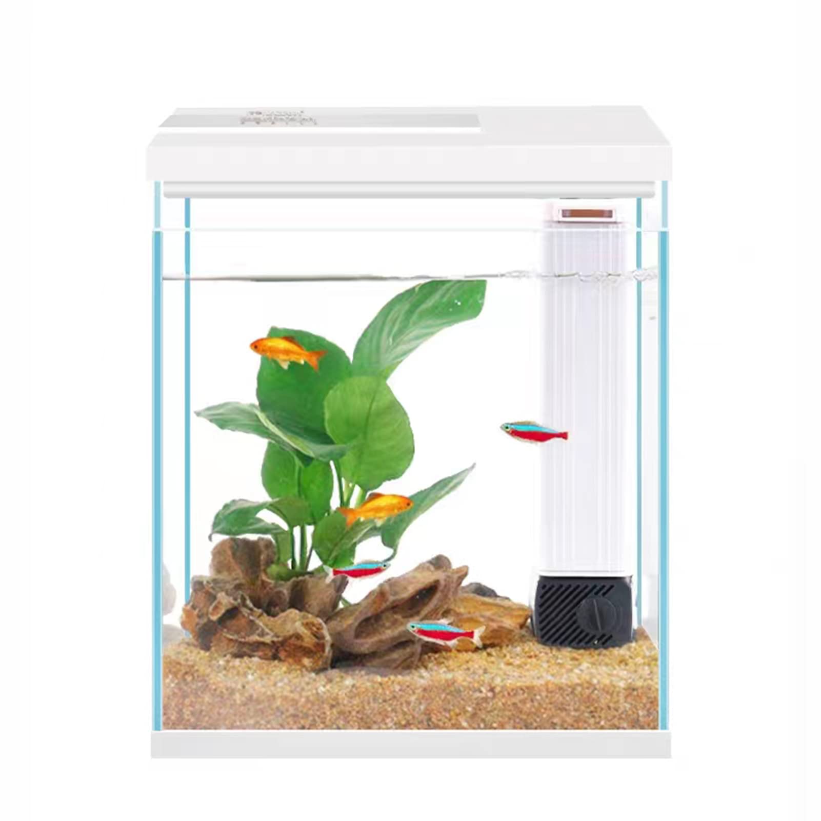 Pronetcus Betta Fish Tank, 2 Gallon Glass Aquarium Starter Kit, Small ...