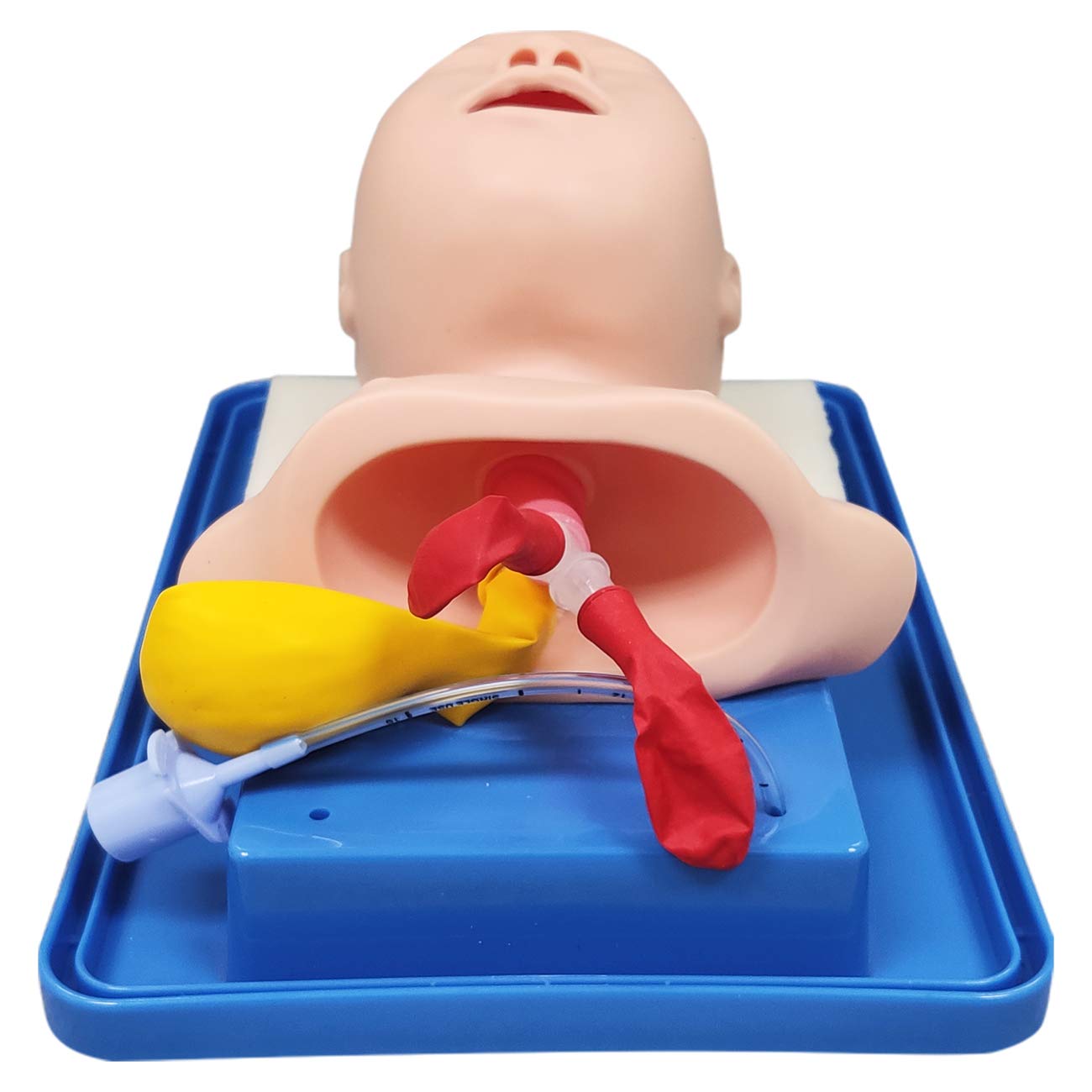 Mua Ultrassist Infant Intubation Trainer, Pediatric Intubation Manikin ...
