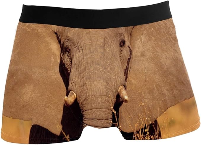 Elephant Wild Animal Calzoncillos bóxer para hombres y niños, ropa ...