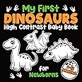 My First Dinosaurs High Contrast Baby Book for Newborns 0-12 Months ...