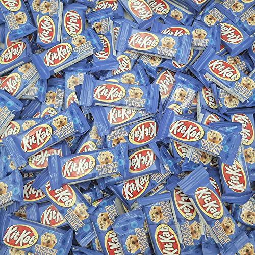 Kit Kat Blueberry Muffin Snack Size - Crisp Wafers in Blueberry Muffin ...