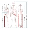 EXTCCT Man's Fashion Illustration Ruler, Drawing Template Ruler Set ...