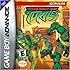 Amazon.com: TMNT - Nintendo DS: Artist Not Provided: Video Games