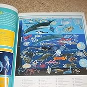 Ocean Animals: Who's Who in the Deep Blue: Johnna Rizzo: 9781426325069 ...