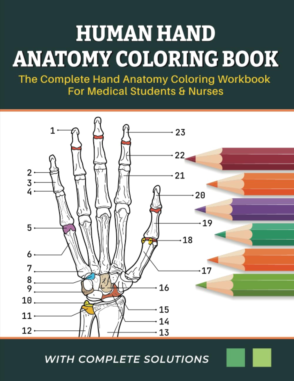 Mua Human Hand Anatomy Coloring Book - The Complete Hand Anatomy ...