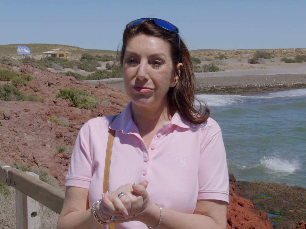 Watch Cruising with Jane McDonald - Season 04 | Prime Video