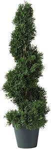 Amazon.com: Nearly Natural 5160 2ft. Cedar Spiral Silk Tree (Indoor ...
