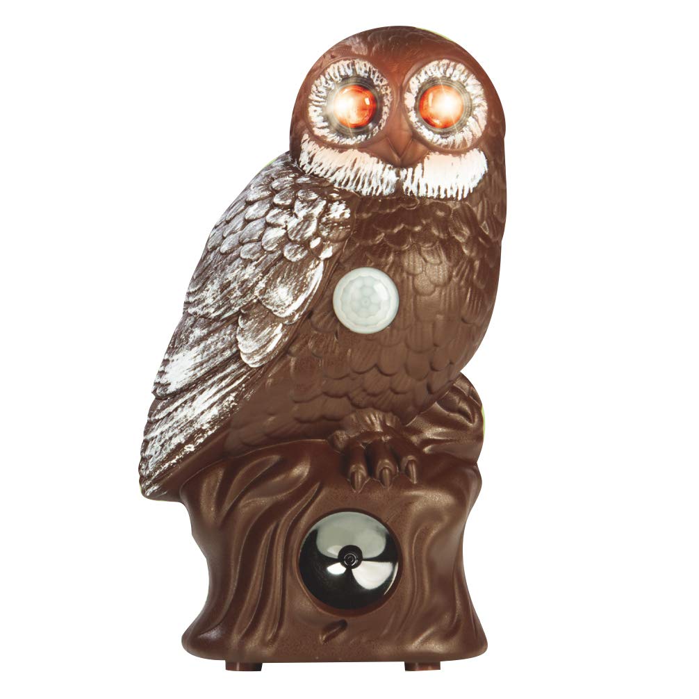 UNCLE SAM Motion Owl Decoy Sensor Garden Guard with Flash Eyes ...