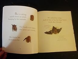 Bat Loves the Night: Read and Wonder: Nicola Davies, Sarah Fox-Davies ...