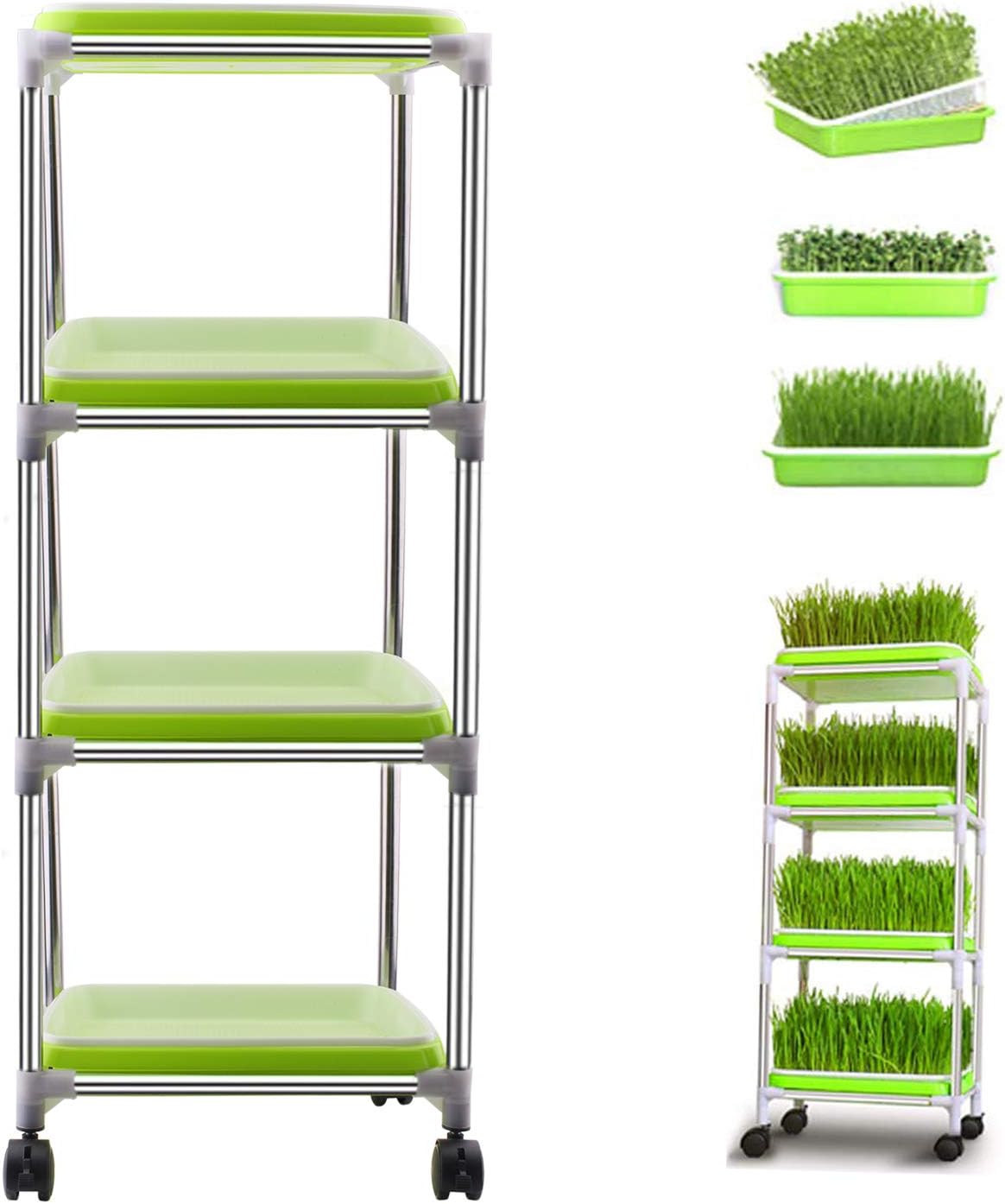 AIICIOO Seed Sprout Tray Germination Kits – 4 Tier Vegetable Seed ...