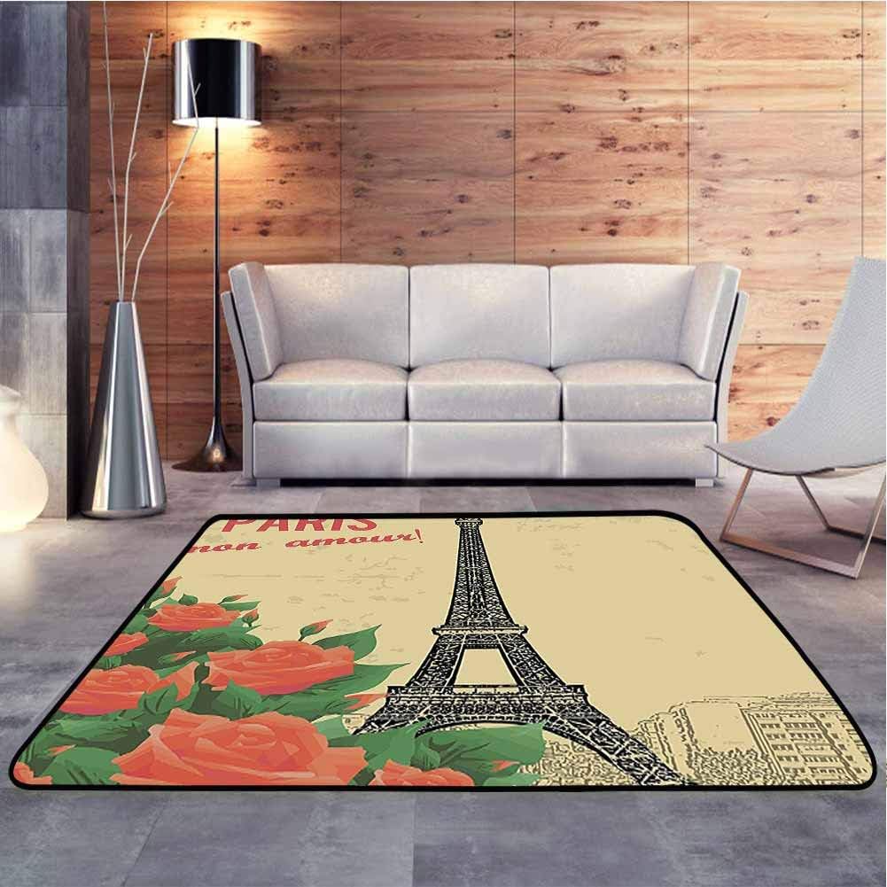 Amazon.com: Colorful Area Rug Vintage Old Style Paris Illustration with ...