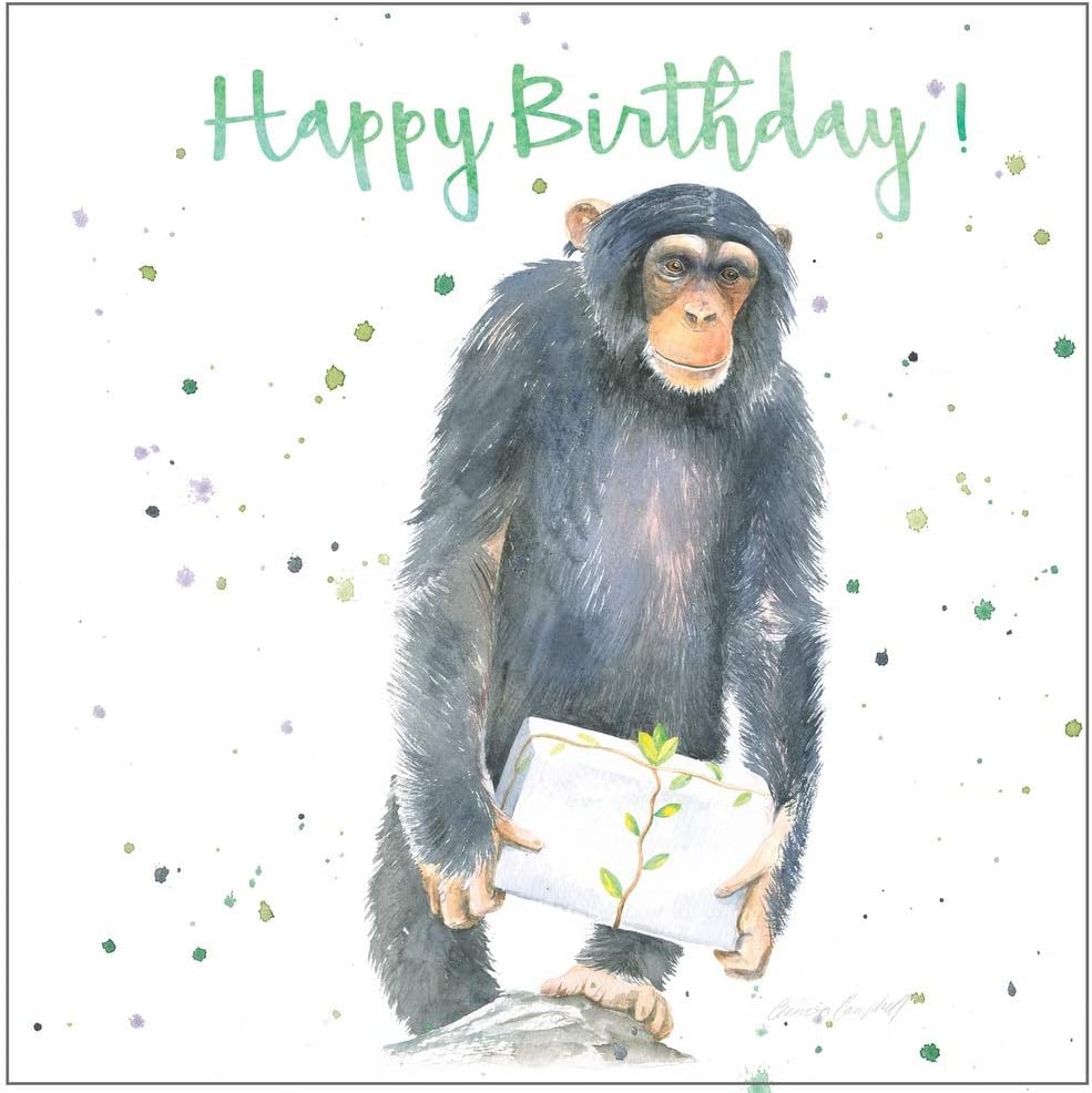 Chimpanzee ape Birthday Card – BigaMart