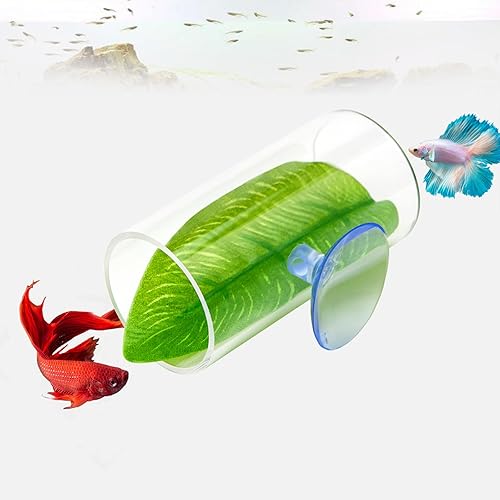 CousDUoBe 1 Pack Betta Fish Acrylic Tube Tunnel,Betta Fish Leaf Pad ...