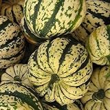 Sweet dumpling squash - How to grow plants