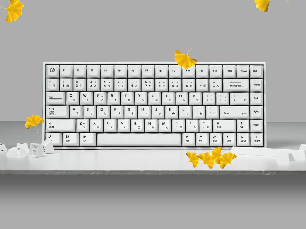 Mua Womier Japanese keycaps,White Double Shot PBT keycaps, Cherry ...