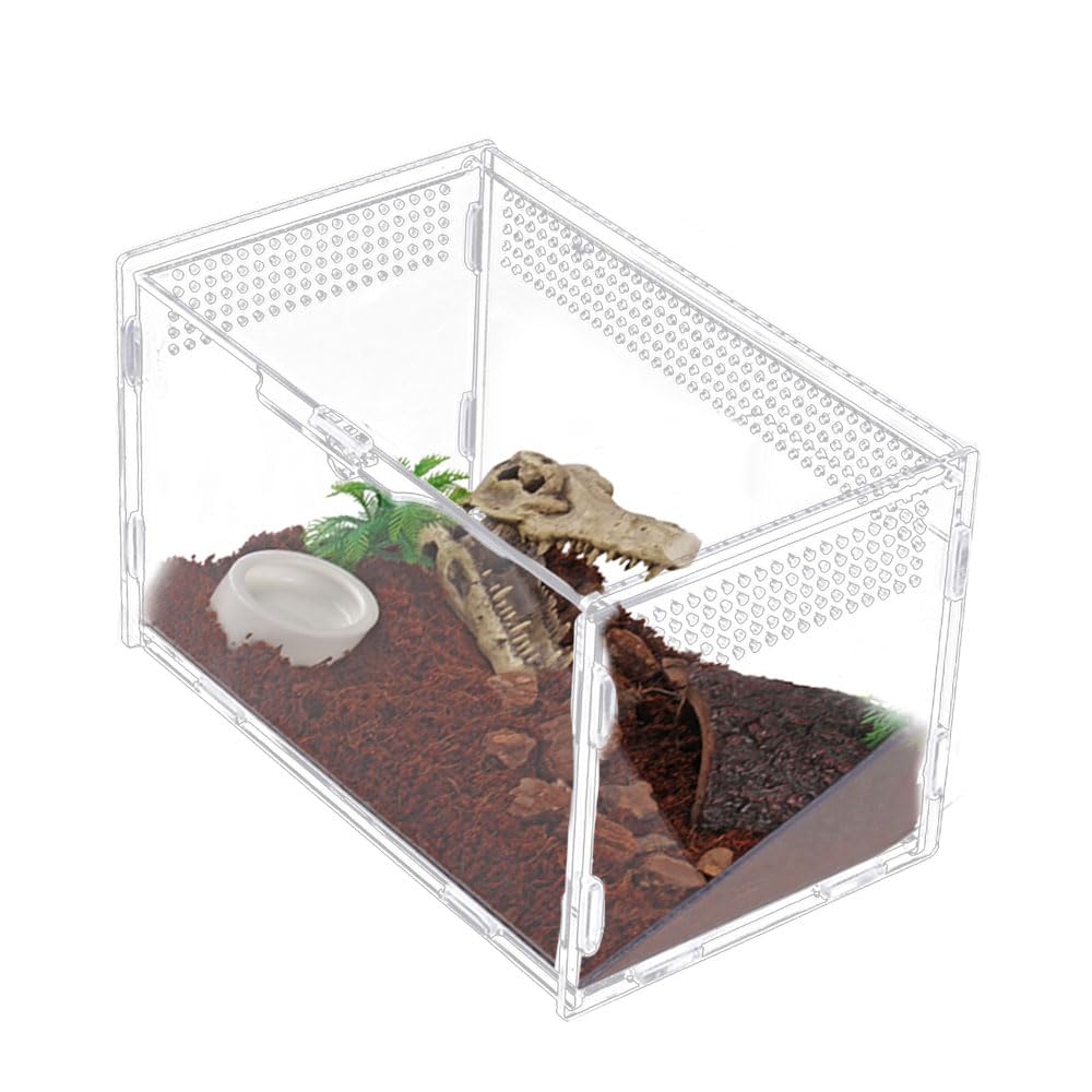 JOBEDE Acrylic Jumping Spider Terrarium Enclosure, Mini Reptile Tank ...