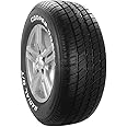 Amazon.com: Cooper Cobra Radial G/T Tire 295/50R15 295/50-15 R15 50R ...
