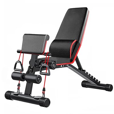 Buy Adjustable Weight Benches for Home Gym Workout Equipment, Multi ...