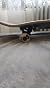 Sefulim 31x8 Pouces Skateboard Complet Double Kick Trick Skateboards ...