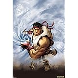 Amazon.com: Street Fighter Ryu Crossed Arms Pose Art CAPCOM Video Game ...