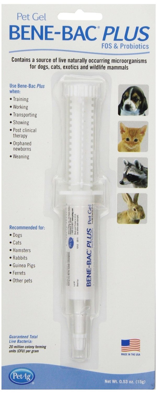 Buy Bene-Bac Plus Pet Gel - 15 gram Tube Online at Low Prices in India ...