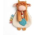 Amazon.com : Itzy Ritzy - Itzy Lovey Including Teether - Baby Lovey ...