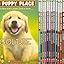 The Puppy Place Set, Books 1-16: Goldie, Snowball, Shadow, Rascal ...