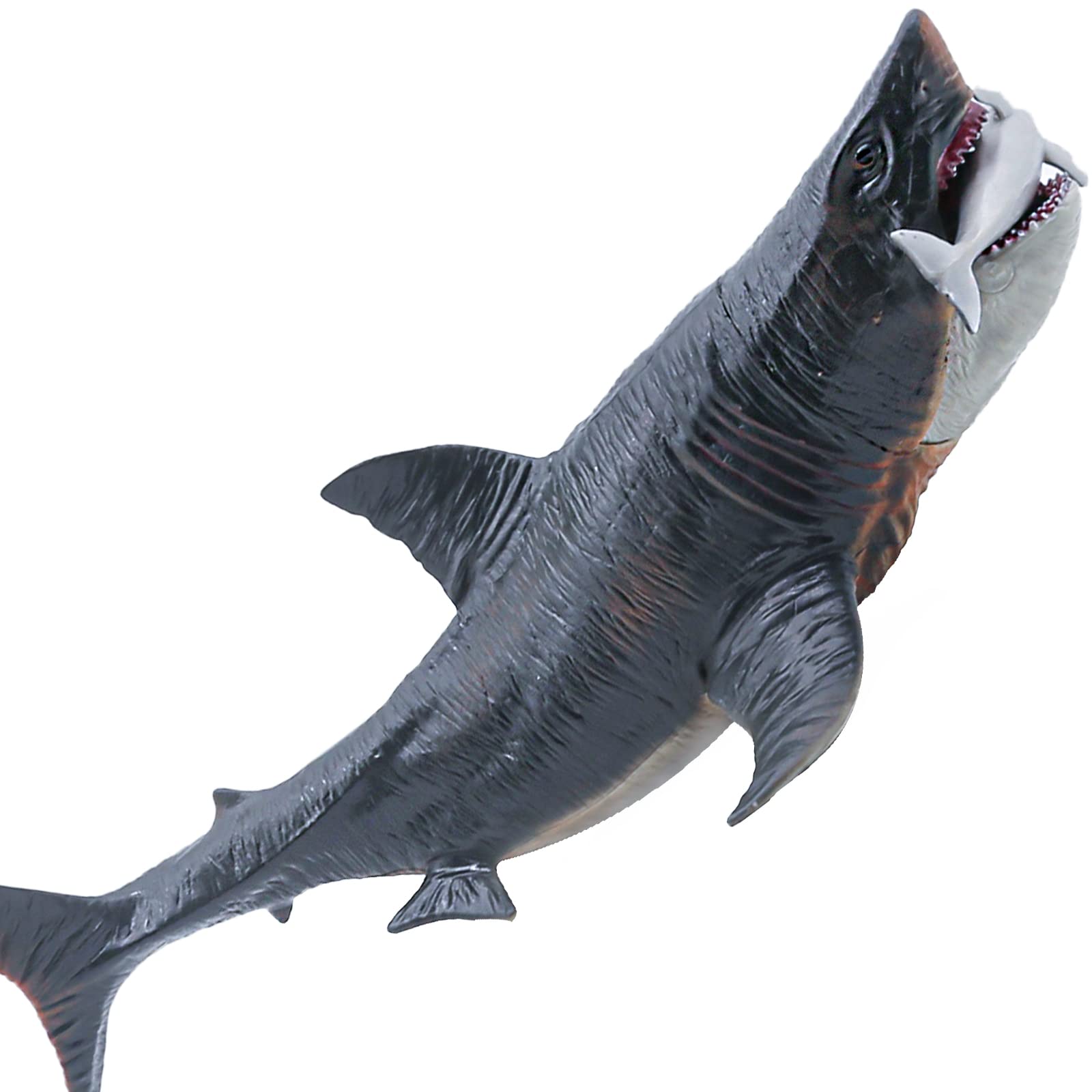 Mua Large Shark Toys Megalodon 10.6”, Realistic Shark Toy Figures ...