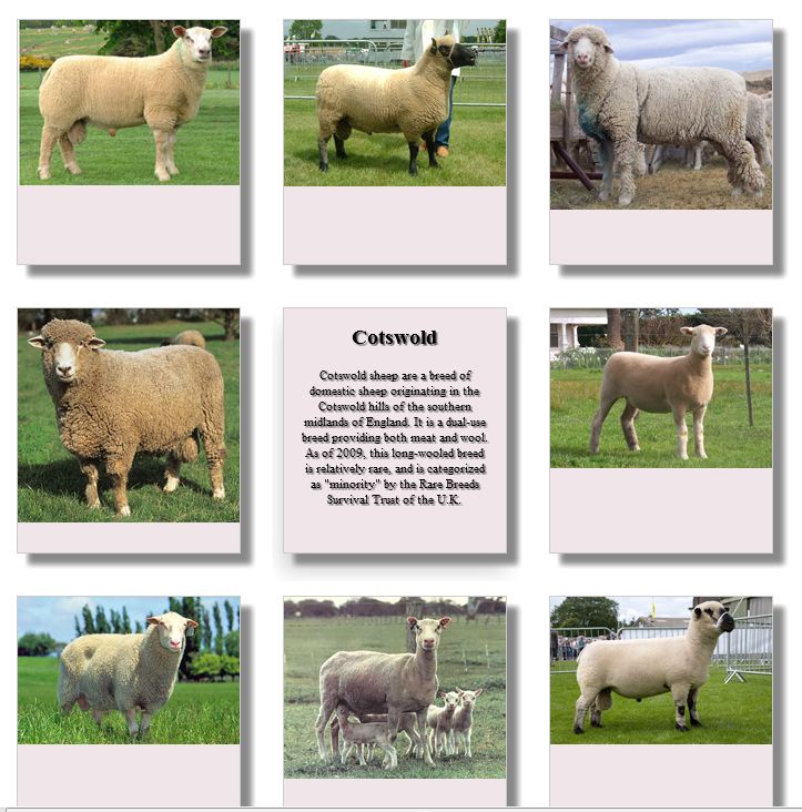 Canadian Sheep Breeds:Amazon.com:Appstore for Android