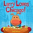 Larry Gets Lost in Chicago: Michael Mullin, John Skewes: 9781570616198 ...