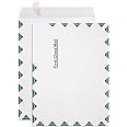 Amazon.com : Blue Summit First-Class Envelope, 10 x 13 Peel & Seal ...