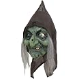Amazon.com: Scary Green Old Hag Witch Woman Costume Mask with Hair and ...