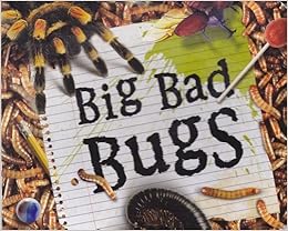 Big Bad Bugs: Mike Sund: 9781581179347: Amazon.com: Books