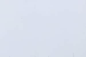 Amazon.com : Yard Signs Signs Board Pack of 4 Large Blank Sign Panel ...