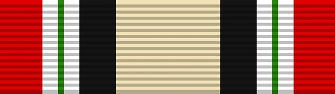 Amazon.com: American Vinyl Iraq Campaign Service Ribbon Sticker ...