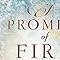 Promise Of Fire: Amanda Bouchet: 9780349412528: Amazon.com: Books