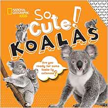 So Cute! Koalas (So Cool/So Cute): Boyer, Crispin: 9781426335273 ...