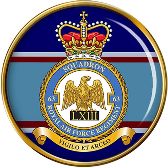 RAF Regiment 63 Squadron Pin Badge: Amazon.co.uk: Clothing