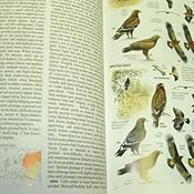 Collins Bird Guide: The Most Complete Field Guide to the Birds of ...