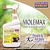 Bonide MOLEMAX Mole & Vole Repellent, 32 oz Ready-to-Spray Animal ...