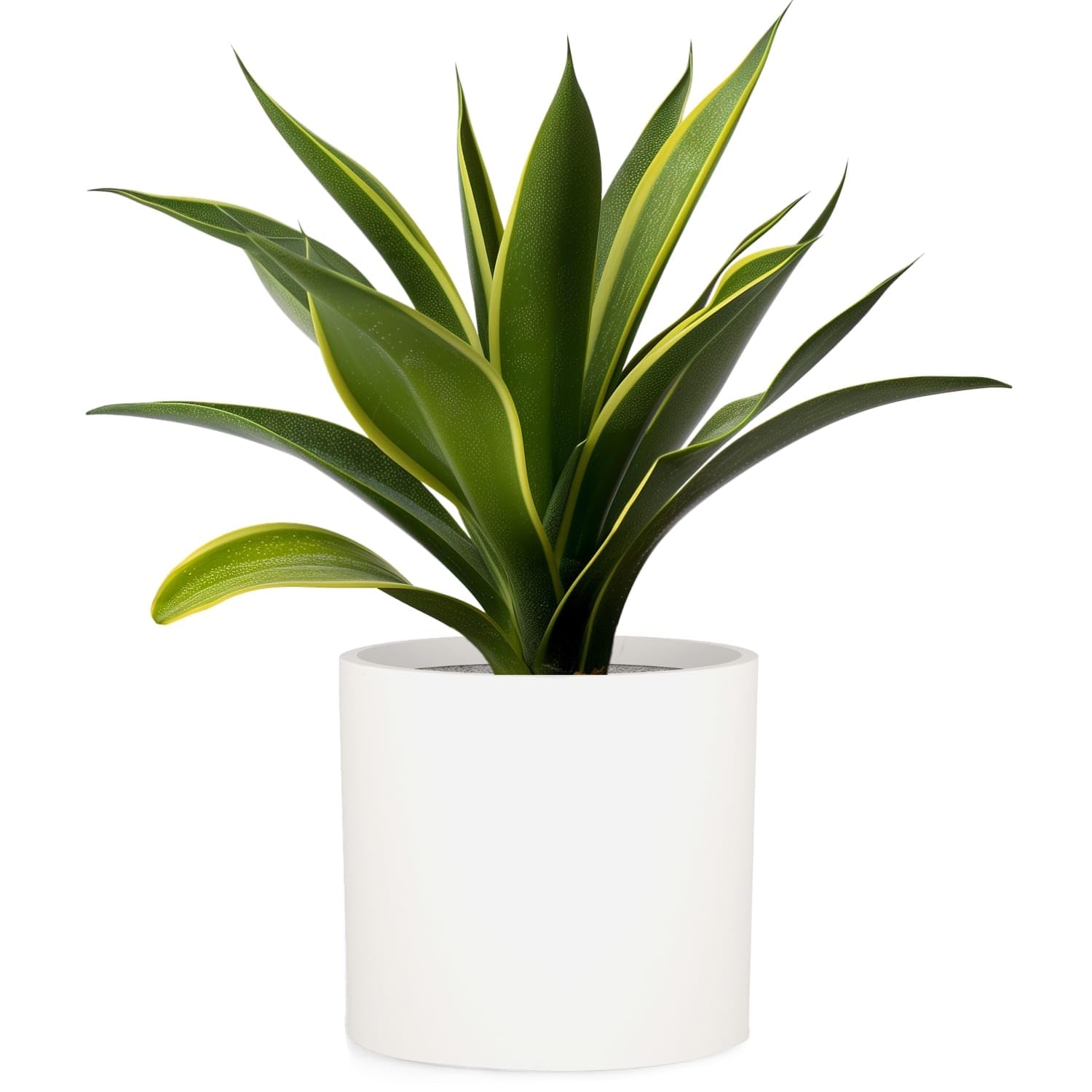 Fox & Fern Large 12 Inch Planter — Premium Lightweight Fiberstone Matte ...