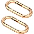 Amazon.com: 2 Pcs Spring O Ring Clip for Purse Strap Oval Snap Clip ...