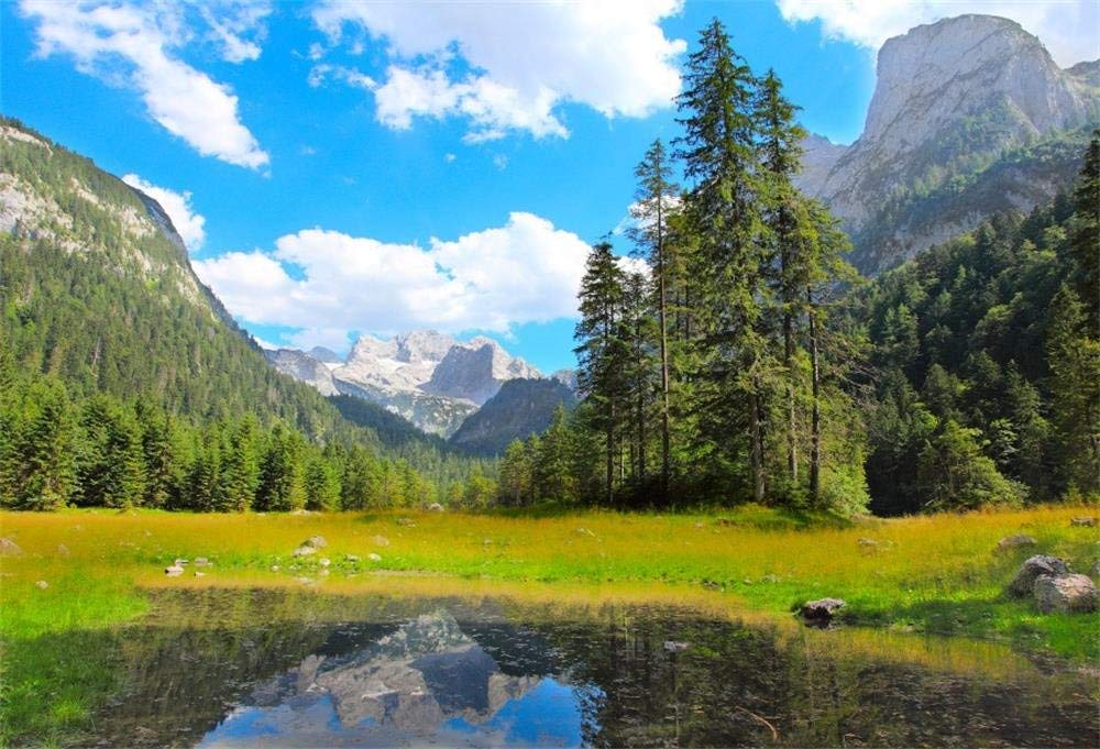 Laeacco 7x5FT Alps Mountain And Water Backdrop Natural Scenery ...