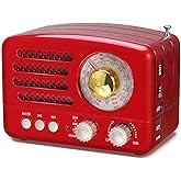 Amazon.com: PRUNUS J-160 Small Retro Vintage Radio with Bluetooth, Portable Transistor Radio AM ...